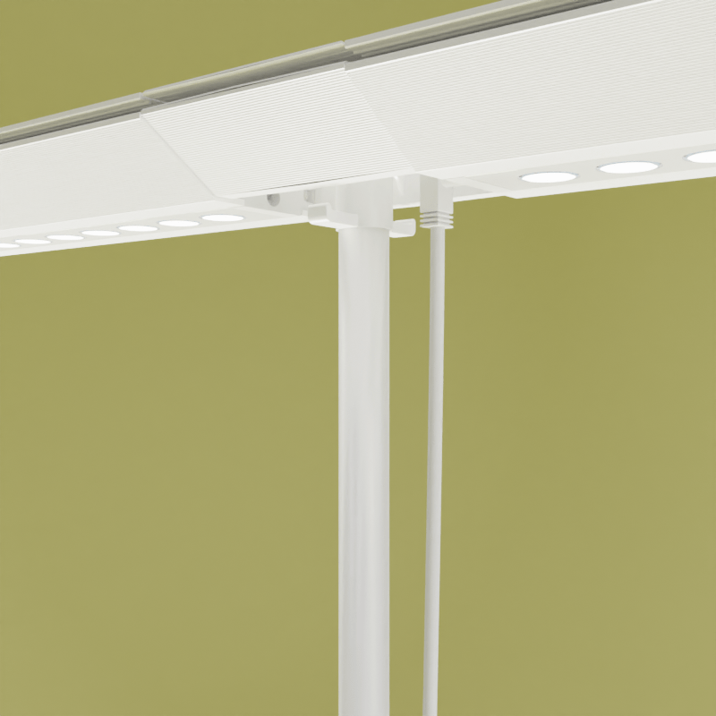 GO STRUT – PIXLIP USA